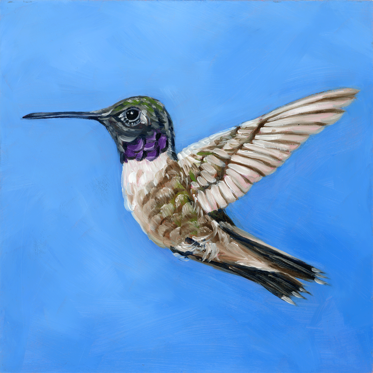 Black Chinned Hummingbird – Katherine Kuczewski Art